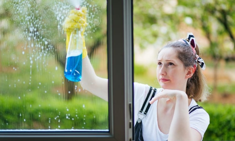 Top 8 How To Clean Double Paned Windows